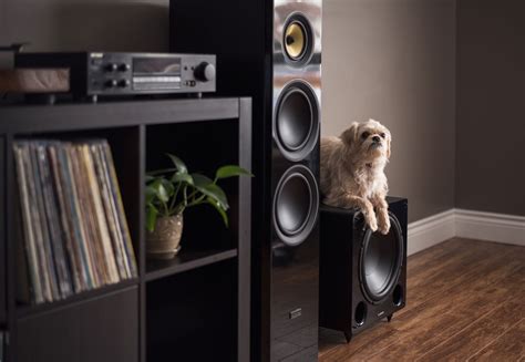 What Frequency Should I Set My Subwoofer Audiolover
