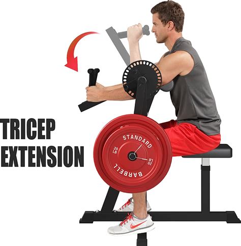 Gmwd Bicep Tricep Curl Machine Plate Loaded Bicep Curls