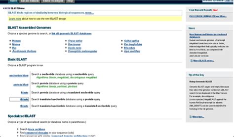 Blast Home Page Showing Translated Nucleotide Database Vs Protein Download Scientific Diagram