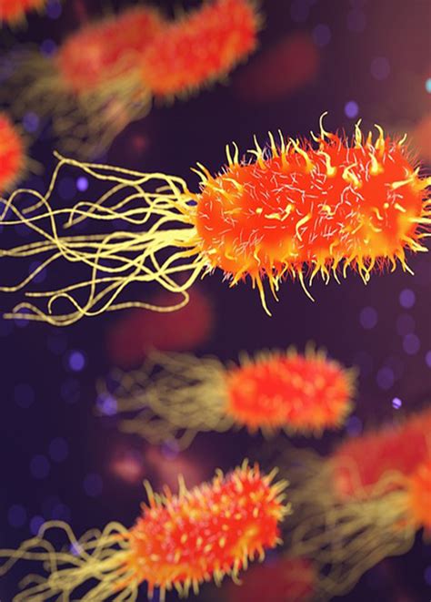 Identification Of Pipeline Opportunities In The Microbiome Market