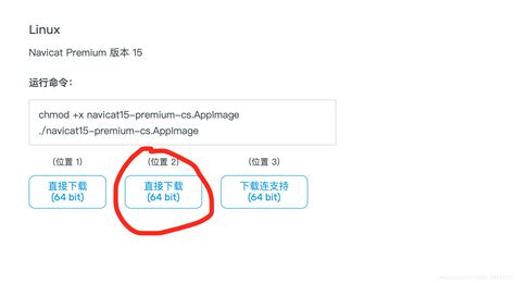 Linux下安装navicatnavicat Linux Csdn博客