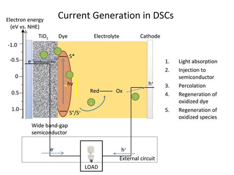 The Science Behind Dye Sensitized Solar Cells