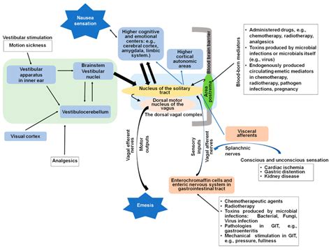 Central And Peripheral Anatomical Sites Involved In Nausea And Vomiting