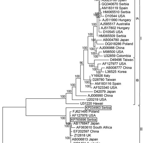 maximum parsimony tree of was constructed based on nucleotide sequences