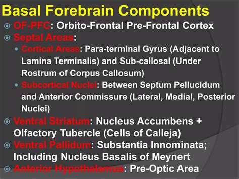 Basal Forebrain Components Schizophrenia Limbic Connections Sanjoy Sanyal Pptx