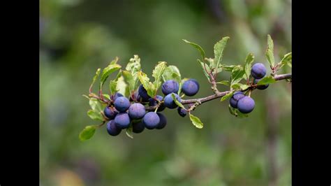 이정길 목사의 41 새로 태어난 사람 Youtube