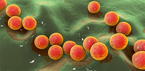 Strep A Three Doctors Explain What You Need To Look
