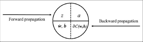 The Calculation In Neuron Download Scientific Diagram
