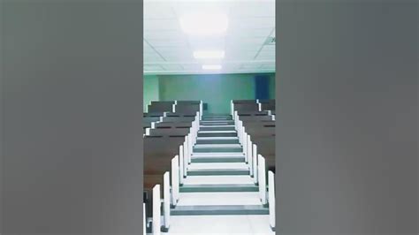 Shorts Reels Videos Youtube