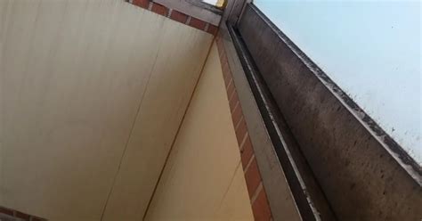 일단 청소는 만족스럽게 진행이 되었습니다~ 구축이라 집 상태가 안 좋아서 추가요금이 예상보다 너무 많이 추가되어 속상했지만