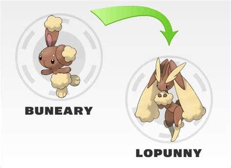 Evolução Pokemons E Suas Evoluções Equipe Pokemon Evolução Pokemon