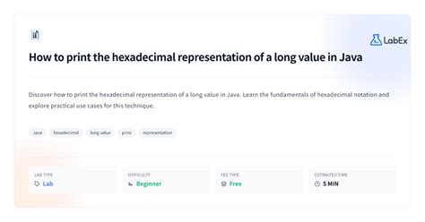 How To Print The Hexadecimal Representation Of A Long Value In Java Labex