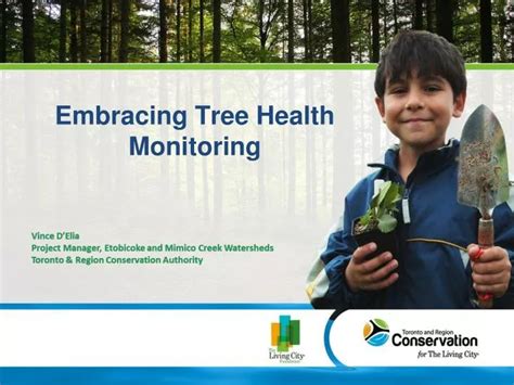 PPT Embracing Tree Health Monitoring PowerPoint Presentation Free Download ID 2240230