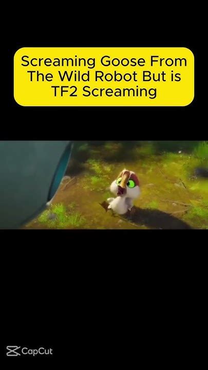 Brightbill Meme Brightbill Thewildrobot Short Youtube