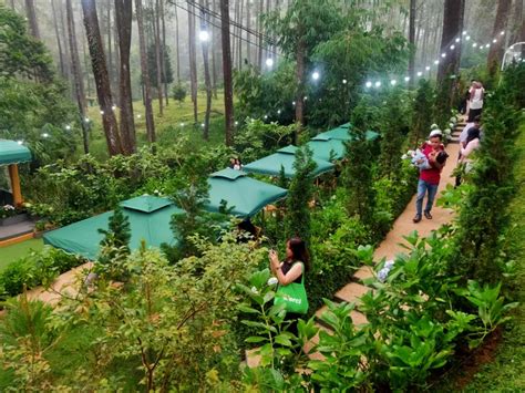 Strobilus Cafe And Resto Dekat Tangkuban Perahu Tempat Makan Murah Dan