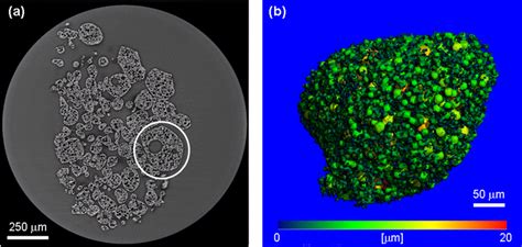 Quantitative Morphometric Analysis A Reconstructed Slice Through A Download Scientific