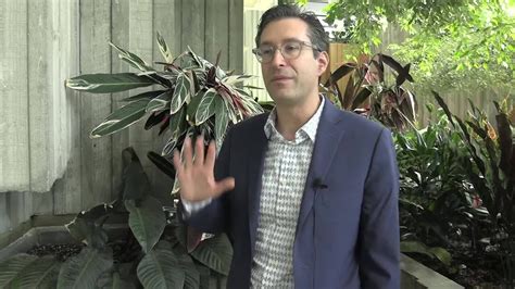 Iveric Bio Receives Fda Approval For Avacincaptad Pegol Intravitreal