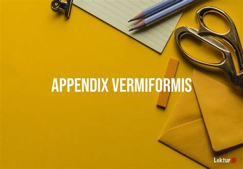Arti Appendix Vermiformis Di Kamus Bahasa Inggris Terjemahan Indonesia