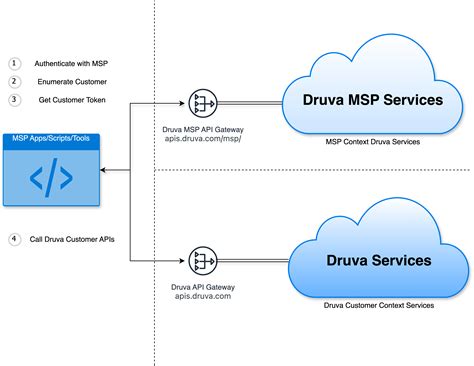 Empowering Msps With Comprehensive Api Access Druva