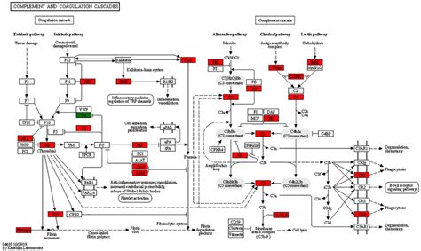 Analysis Of Differentially Expressed Proteins In Complement And
