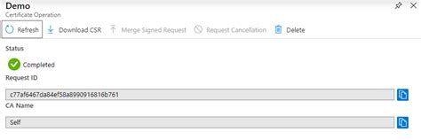 Cannot Create New Version Of Existing Self Signed And Ca Signed