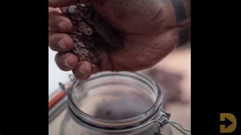 Brenden Durell Discusses Cacaos Role In Your Sex Life Fort Worth