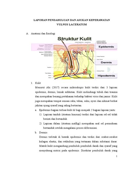Vulnus Laceratum Pdf