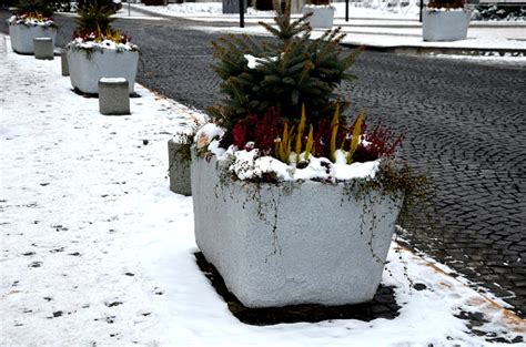 회색 화분은 직사각형 모양으로 광장이나 공원의 거리에 꽃이 만발한 다년생 식물이있는 화분입니다 강철 콘크리트 세이지 헤더 볼라드 화강암 실린더 써니의 도로 장벽 0명에 대한