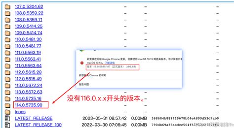 mac 上安装selenium 谷歌浏览器驱动 116 0 5845 x mac selenium chromedriver csdn博客