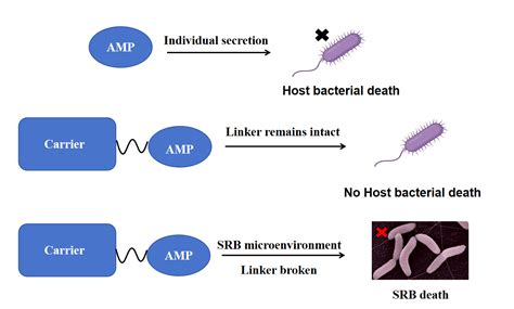 Protein Modelling Scu China 2023
