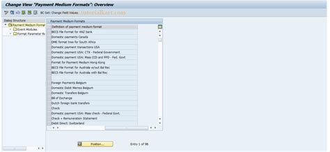 Obpm3 Sap Tcode Payment Medium Formats Customer