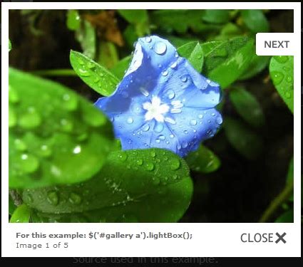 21 JQuery Slideshow Plugins Script Tutorials