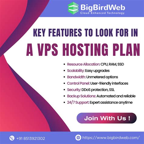 Bigbirdweb On Linkedin Vpshosting Webhosting Techtips Webdevelopment Bigbirdweb