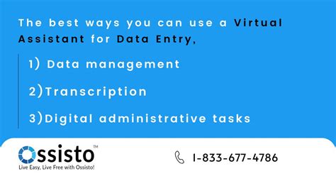 Virtualassistant Dataentry Efficiency Datamanagement Admintasks