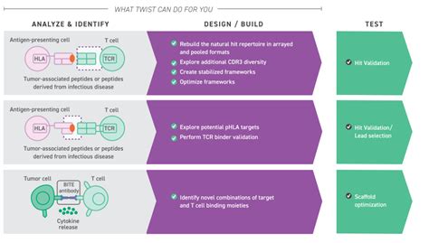 Synbio Libraries Archives Decode Science