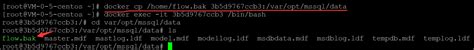 Docker安装sqlserver，并破解内存2g限制，与内部使用bak还原数据 剑轩的专栏 Tnblog