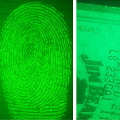 Pair Of Partial Latent Fingerprints With A No Minutiae Point Detected Download Scientific
