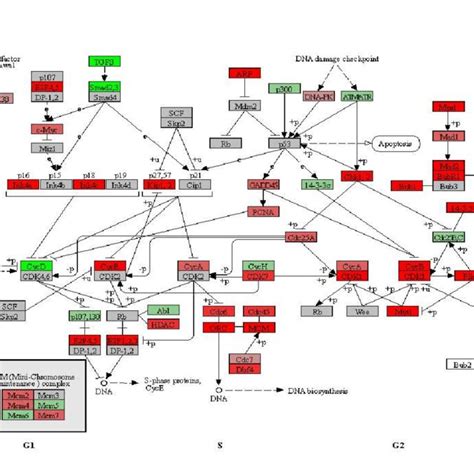 Rna Seq Single Omics Results A Clustering And Genes Distance Purple