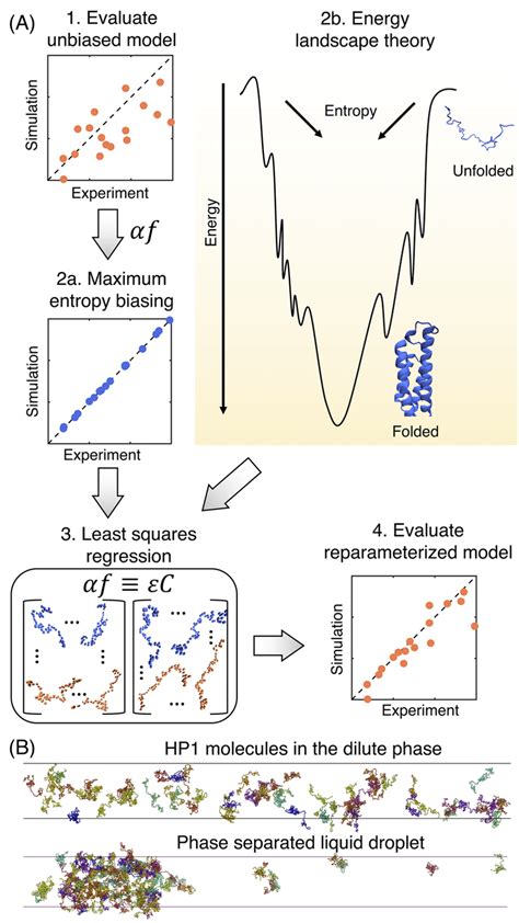 Coarse Grained Protein Force Field Moff Enables Large Scale Download Scientific Diagram