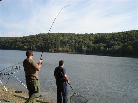 Jezero Borovik Praktični Ribolov