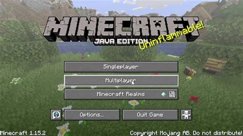 running a minecraft server in a jail unable to start it outside of the
