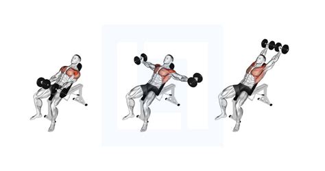 Push Press Guide Benefits And Form