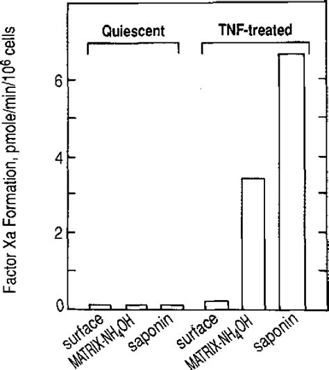 Figure 1 From Surface With Subendothelial Matrix Vesicles But Is Not