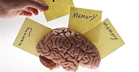 Forgetting Isnt Bad Its Actually A Form Of Learning Say Scientists