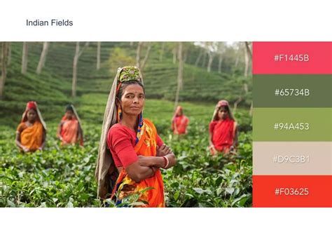 Best Colour Combinations To Create A Perfect Ui Interface PPTX