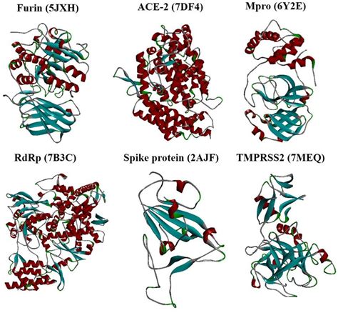 3 Dimentional Structures Of Sars Cov 2 Target Proteins Download