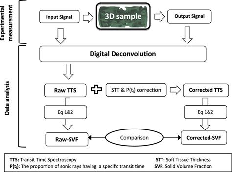 A Flow Chart Describing Raw And Corrected Utts Svf Derivation Process