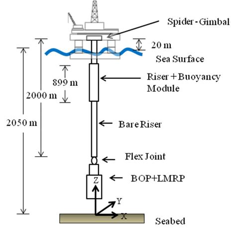 M Length Riser Configuration Download Scientific Diagram