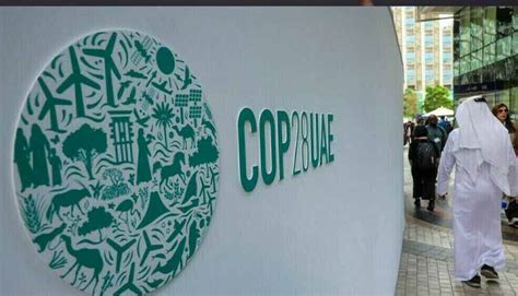 Key Insights From Cop28 In Dubai 5 Significant Learnings For Pakistan The Catchline