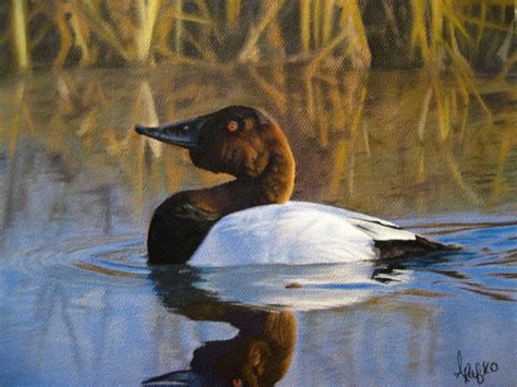 Items Similar To Pastel Drawing Canvasback Duck Bird Wildlife Fine Art